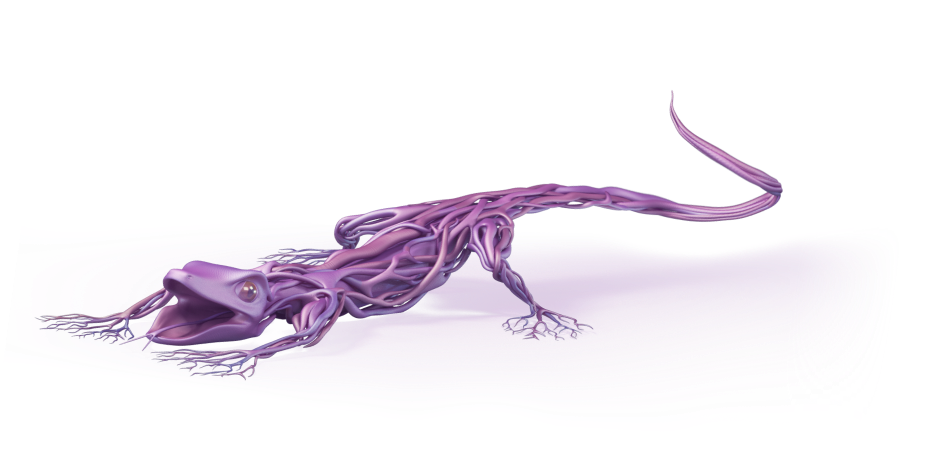 ВЕНАРУС – правильный выбор миллионов при варикозе!